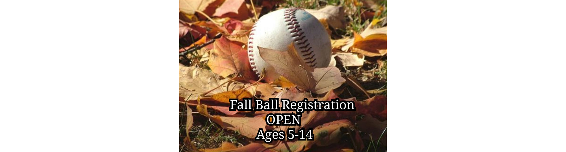 Home [srbaseball.com]